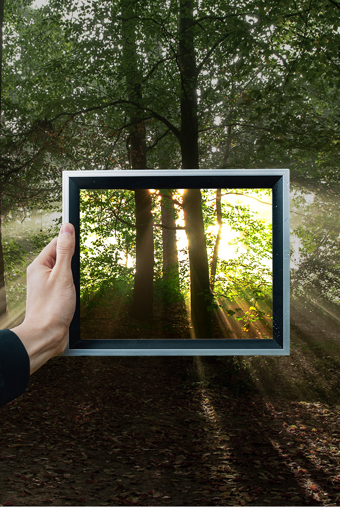 DataPro's HDR Video Guide and FAQ